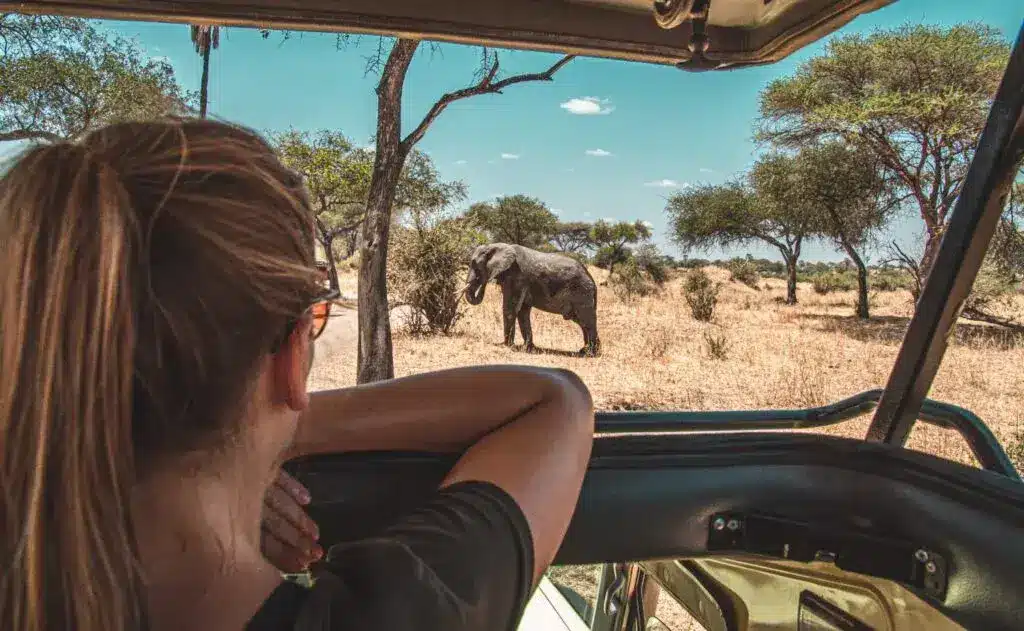 Ngorongoro Conservation Area | Shiri Adventures
